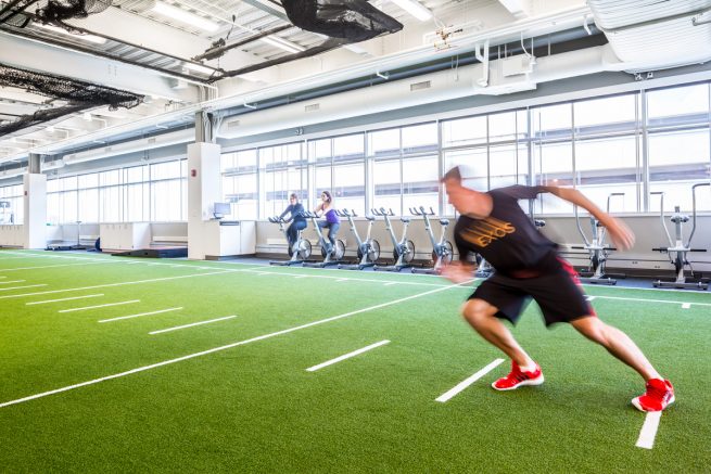 Mayo Clinic – DAHLC – FARM KID STUDIOS