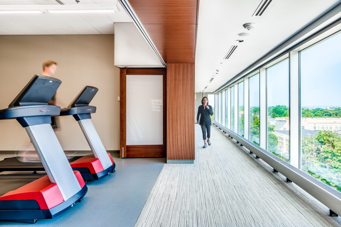 Mayo Clinic – DAHLC – FARM KID STUDIOS