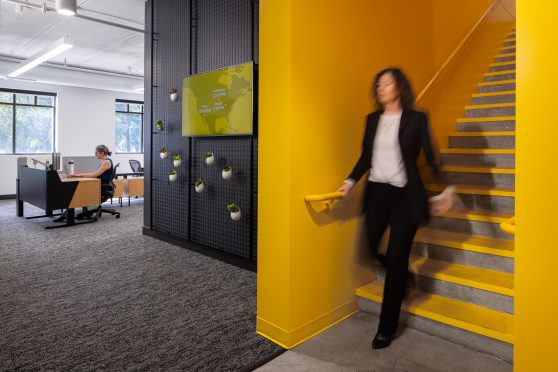 IDC Spring – FARM KID STUDIOS